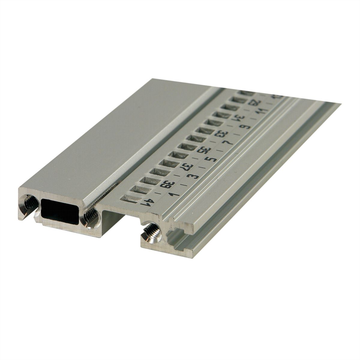 SCHROFF Horizontal Rail, Rear, Type R-ST, Rugged, Standard, 63 HP ...