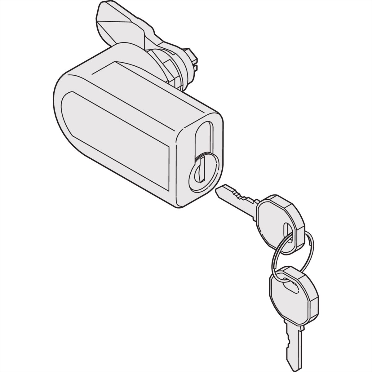 SCHROFF Varistar Aisle Containment Door Lock for Swing Doors - SECOMP ...